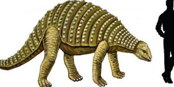 La Evolución de la Tortuga desde la Prehistoria: Un Vistazo Fascinante ...