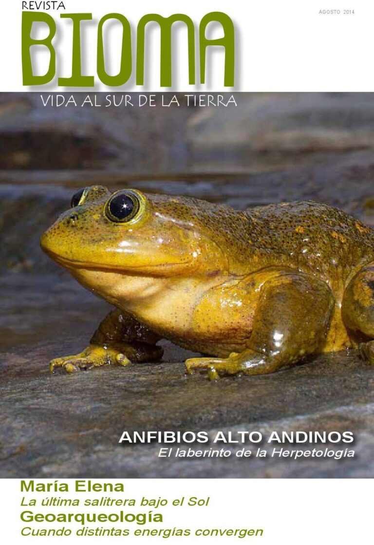 Evolución de la rana desde la prehistoria: un fascinante recorrido ...