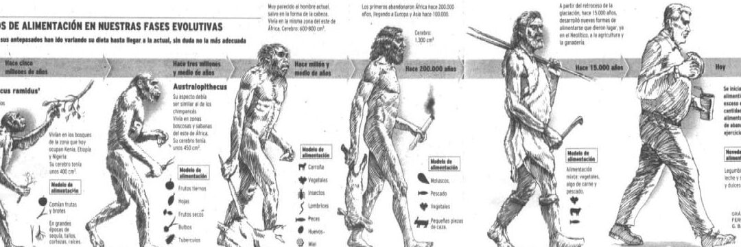 Evolución del hombre y su alimentación en la prehistoria: un análisis. | Talayots