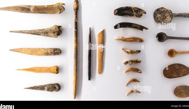Punzón, aguja de hueso de la Prehistoria: un artefacto ancestral ...